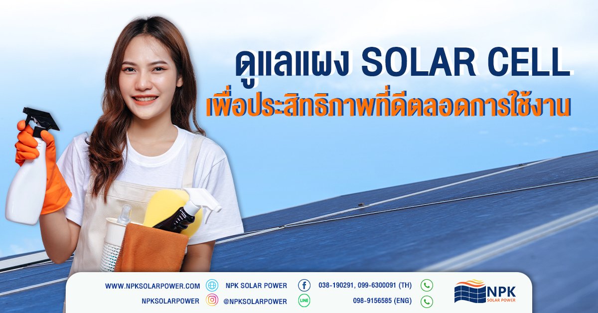 การดูแลแผง Solar Cell เบื้องต้นหลังการติดตั้ง