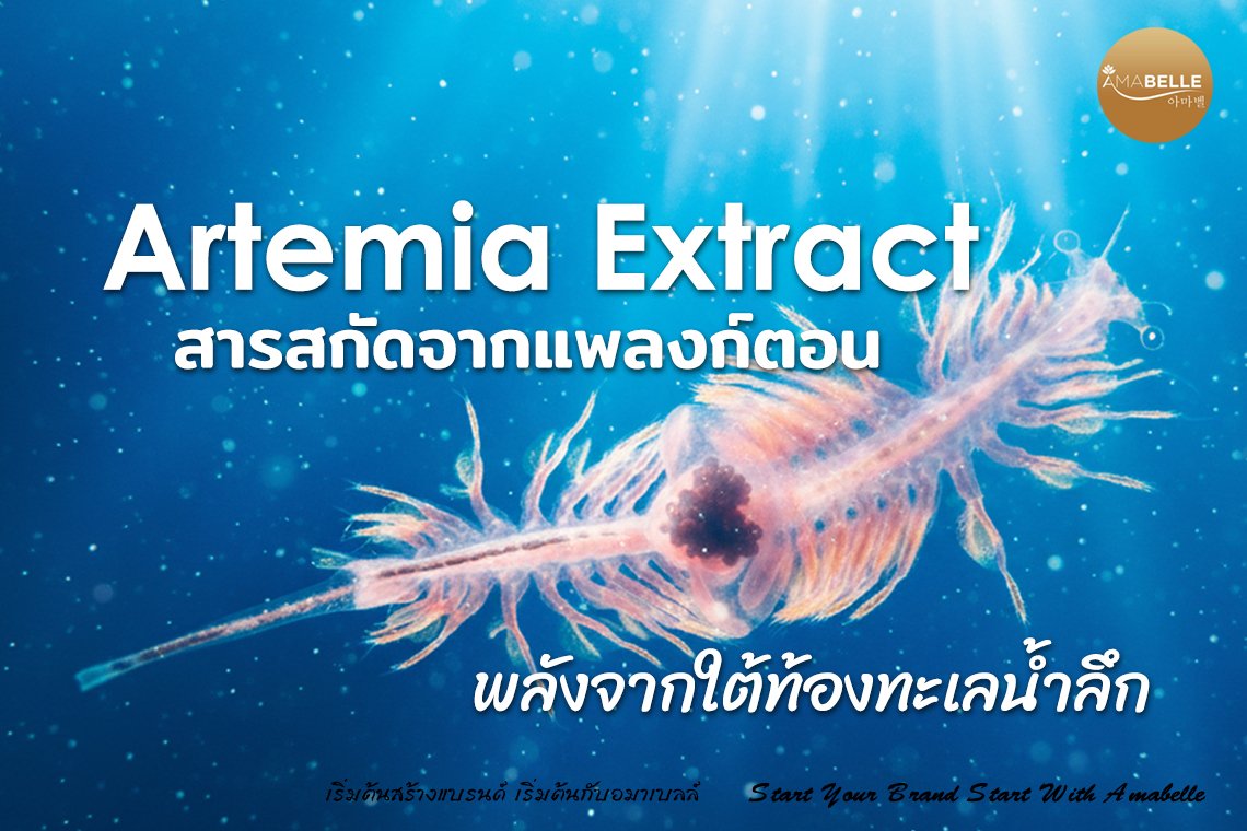 Artemia Extract Deep-Sea Plankton Extract for Skin