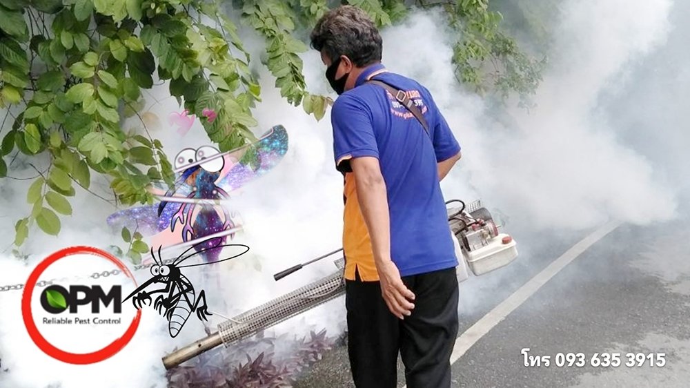 เป็นโรคไข้เลือดออกแล้วกว่าหมื่นคน - opmpest