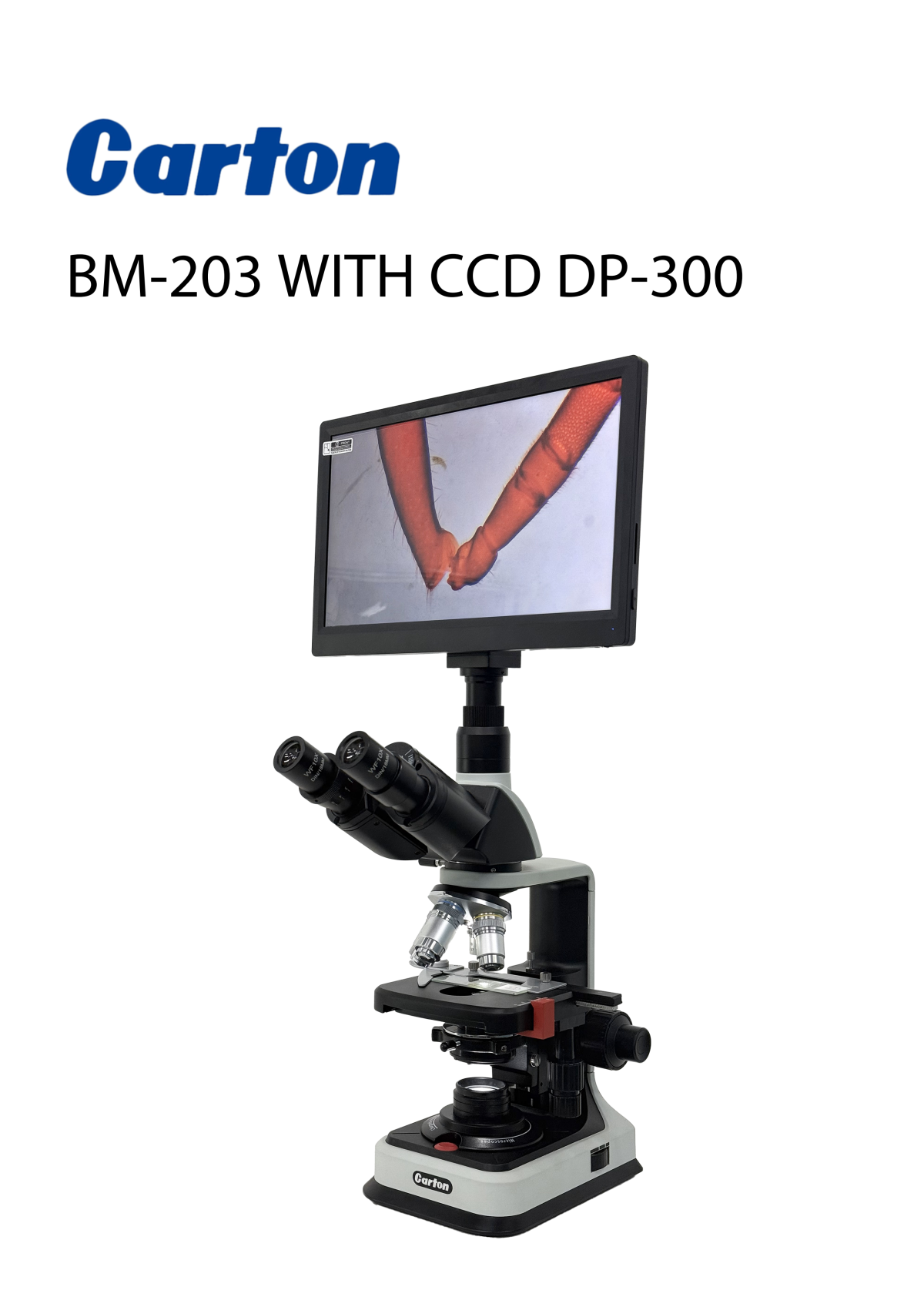 BM-203 WITH CCD DP-300