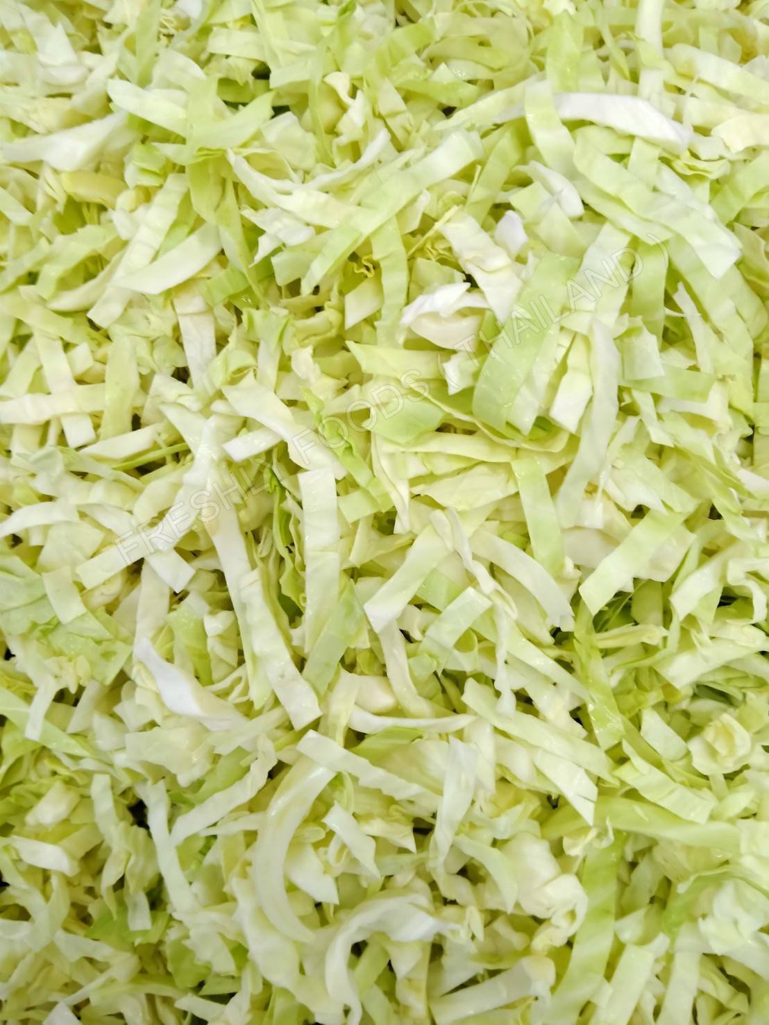 Cabbage cut / sliced