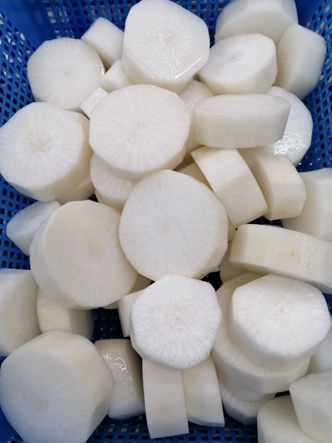 Radish - freshlyfoods-thailand