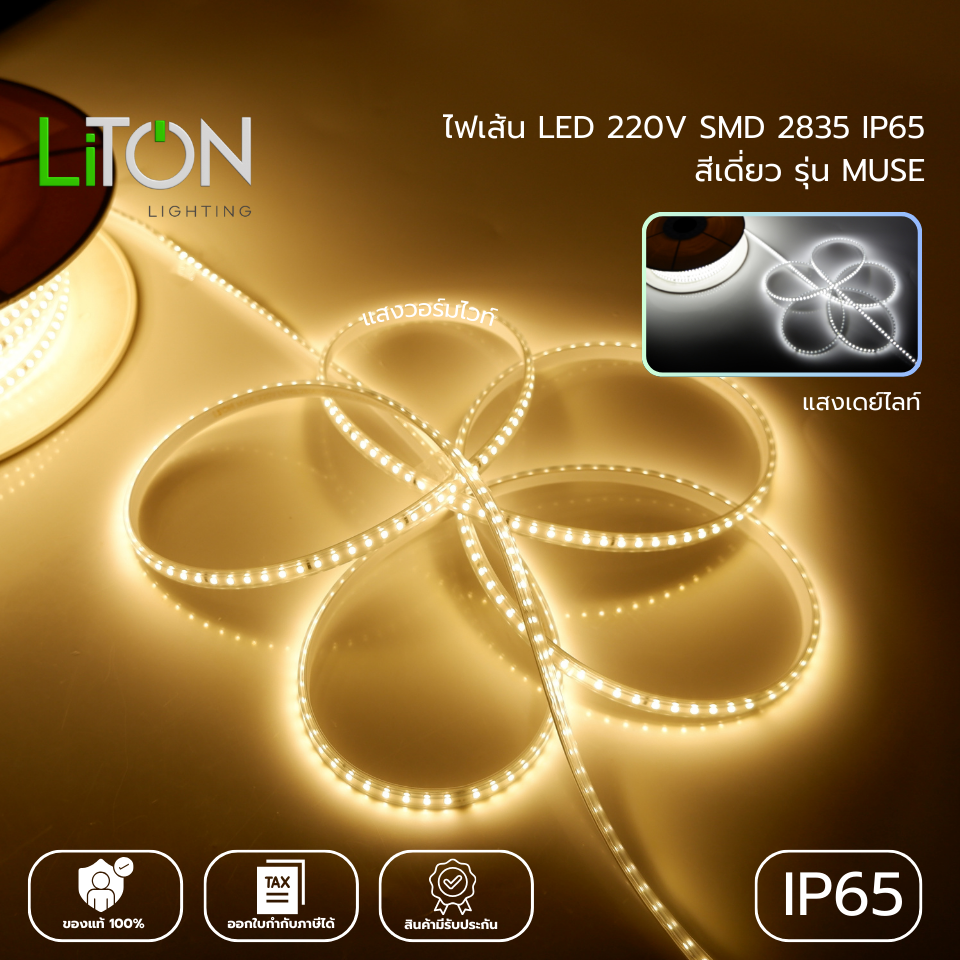 ไฟเส้น LED 220V SMD 2835 IP65 สีเดี่ยว รุ่น MUSE Daylight (แสงขาว) และ ...