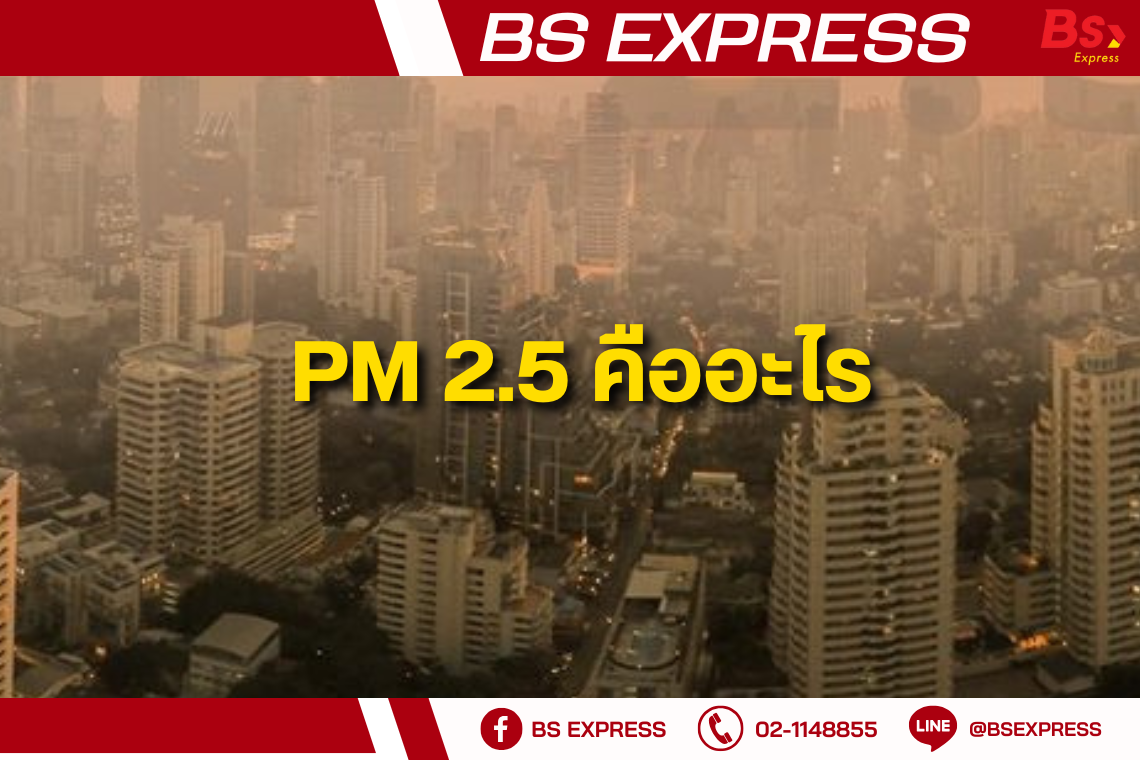 PM 2.5 คืออะไร