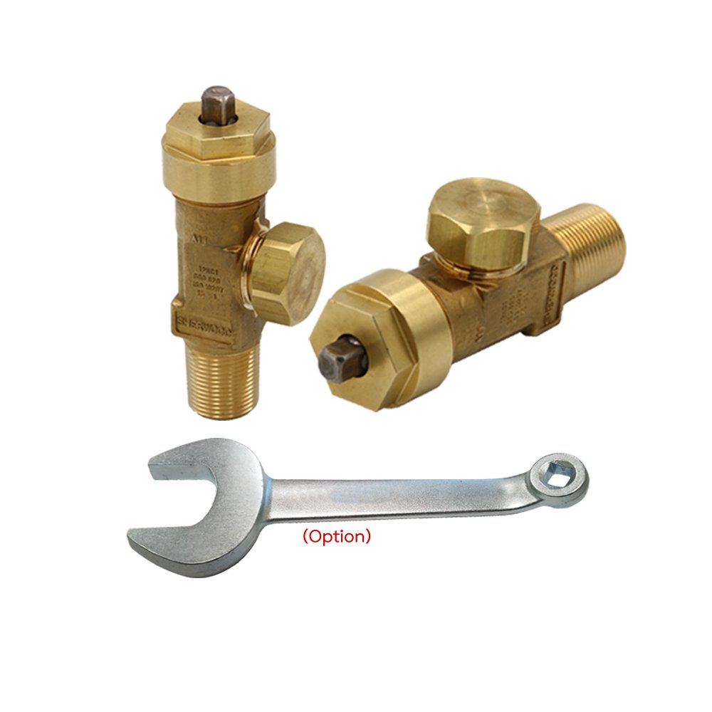Chlorine Header Valve