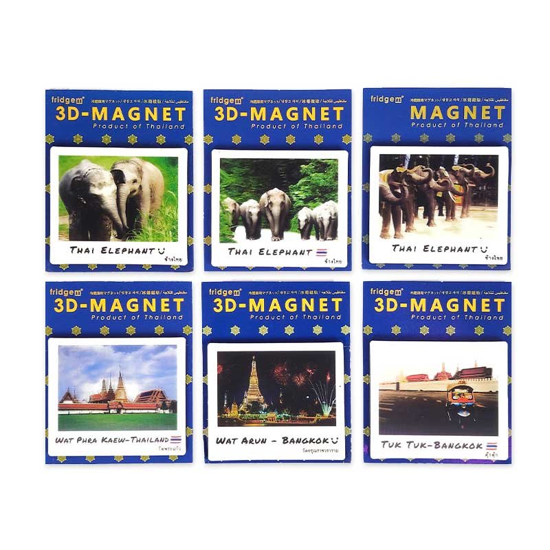 3D Magnet | Muse Shop by Museum Siam - museshop