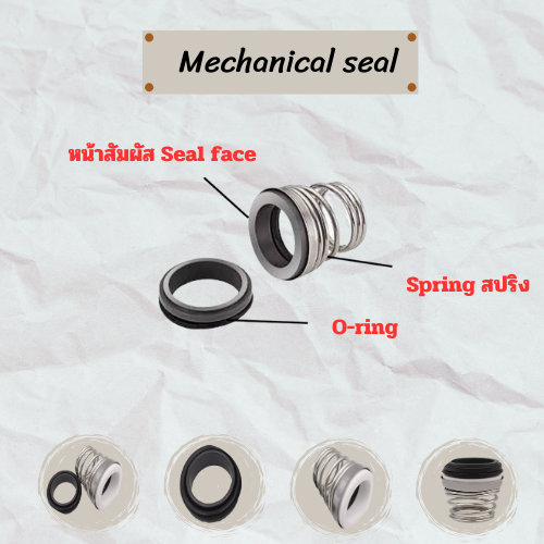 แมคคานิคอลซีล Mechanical Seal คืออะไร ทำงานยังไง | KN