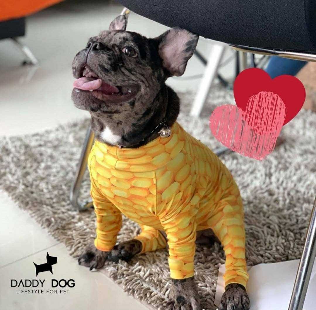 Daddy Dog ชุดกันขนร่วง สำหรับสุนัข ลายทางขาวดำ - hospetal