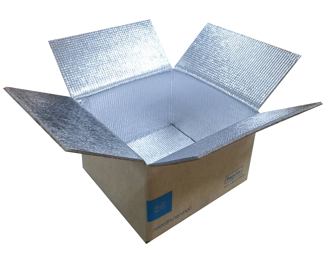 Carton Box for keep temperature - upppackaging