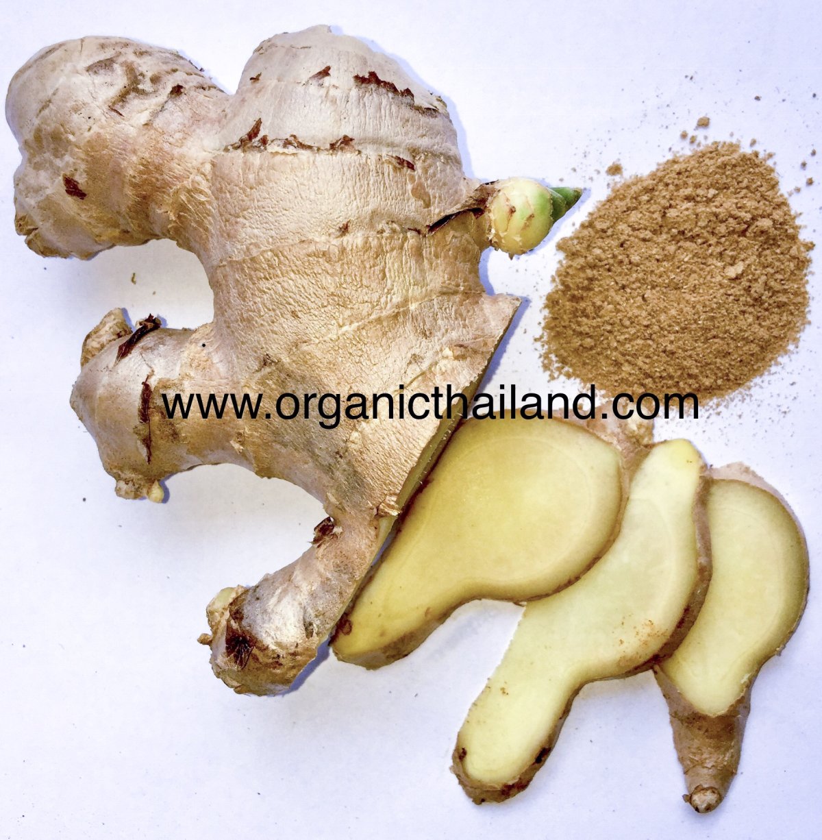 Ginger Powder 100g - organicthailand