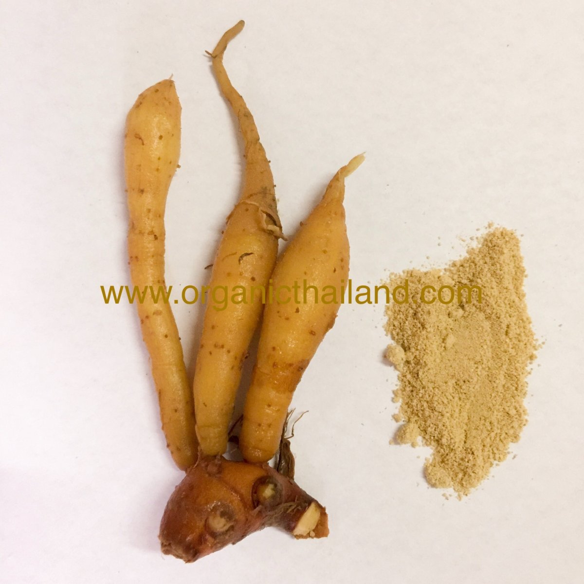 Fingerroot Powder 100g