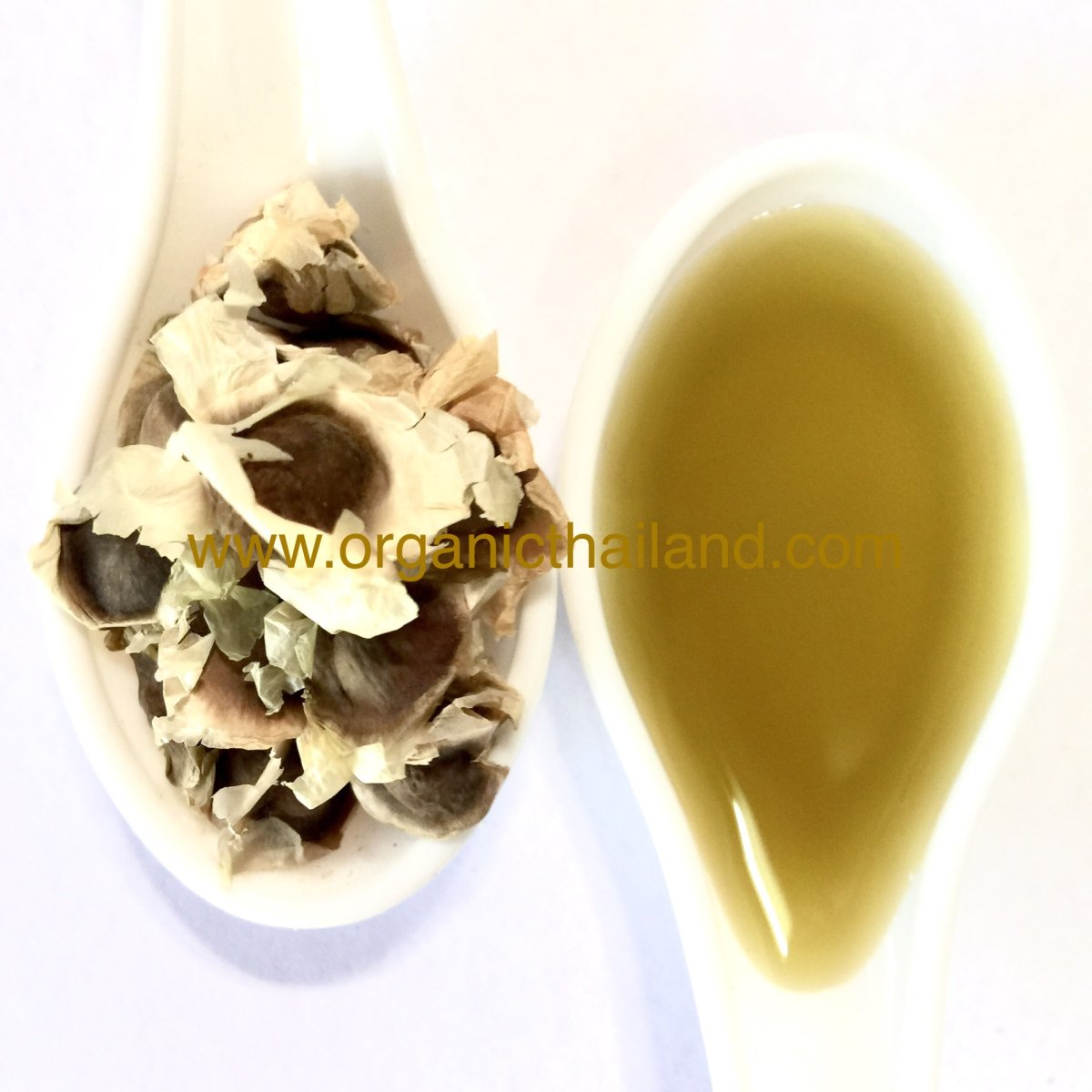 Virgin Moringa Seed Oil 1liter - organicthailand