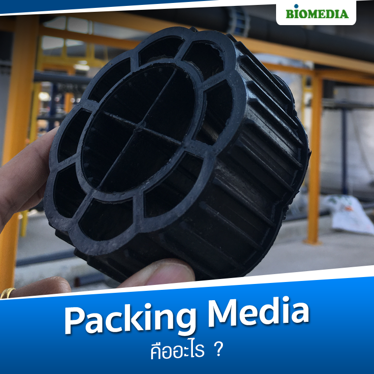 Packing Media หรือ Plastic media คืออะไร ทำหน้าอะไรบ้าง?