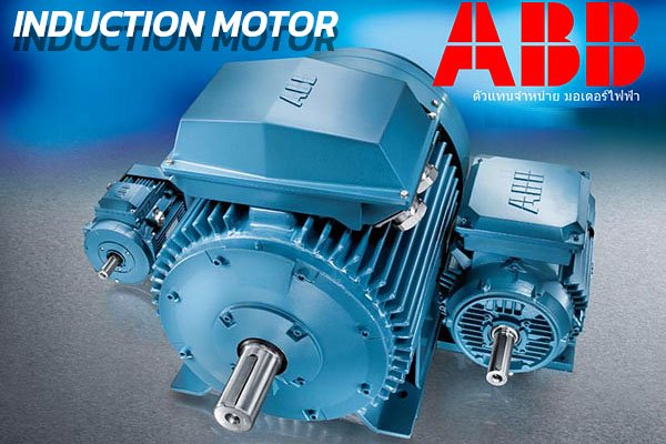 มอเตอร์ไฟฟ้า เอบีบี ( INDUCTION MOTOR ABB )