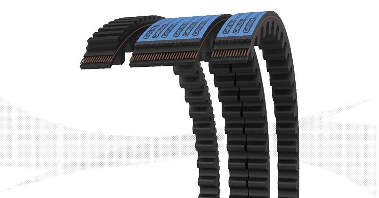 สายพานวีเบลท์ สายพานร่องวีแบบมีฟัน (Raw Edge Cog belt)