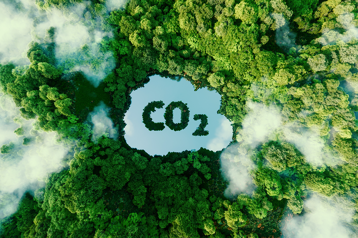 MGC Group Eco-Friendly Products