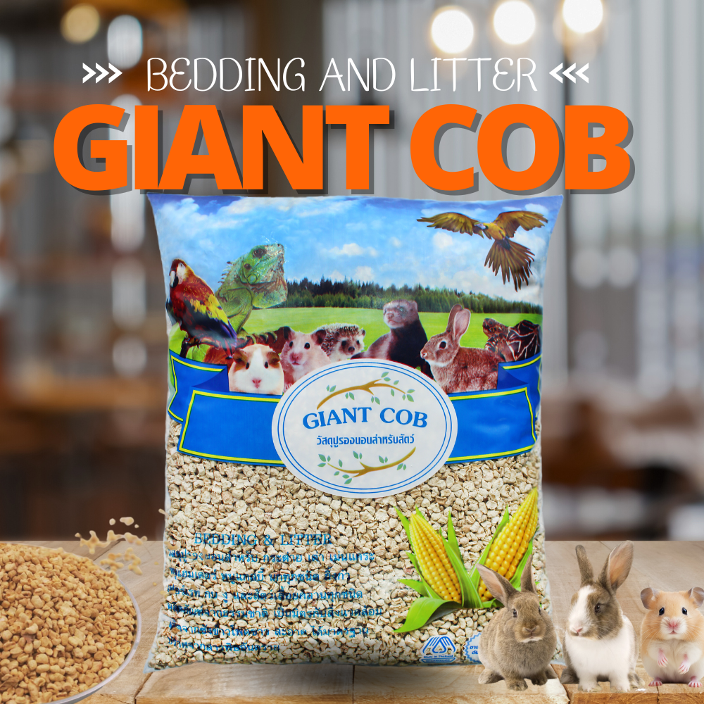 GIANT COB