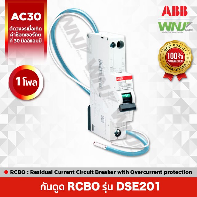 RCBO : DSE201 อุปกรณ์ป้องกันไฟรั่วไฟดูดตามมาตรฐาน IEC61009