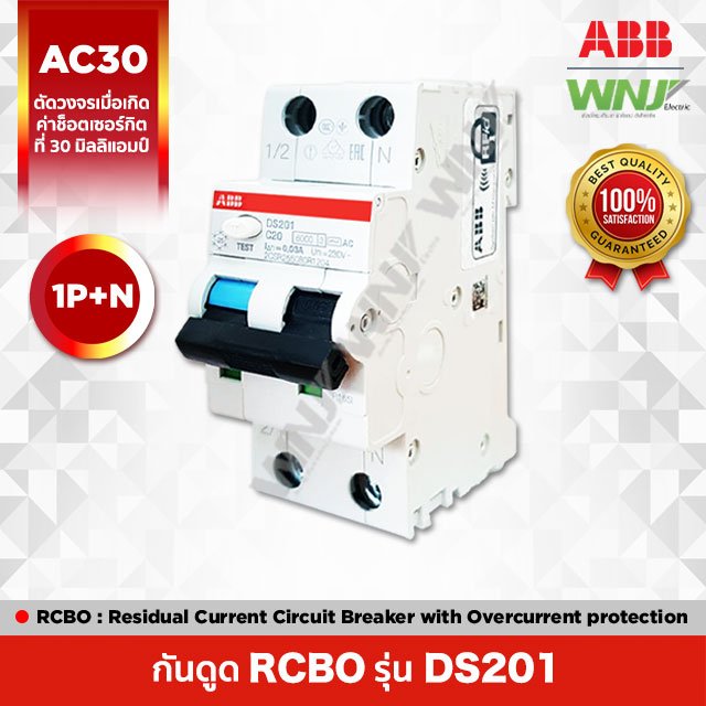 RCBO : DS201 อุปกรณ์ป้องกันไฟรั่วไฟดูด
