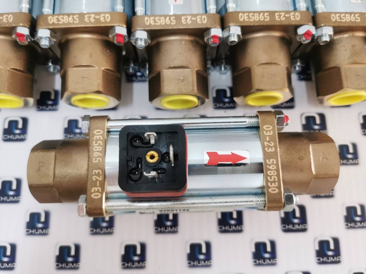 RSG Coaxial Valves, 269A7301-10-M0G12F - chumathailand