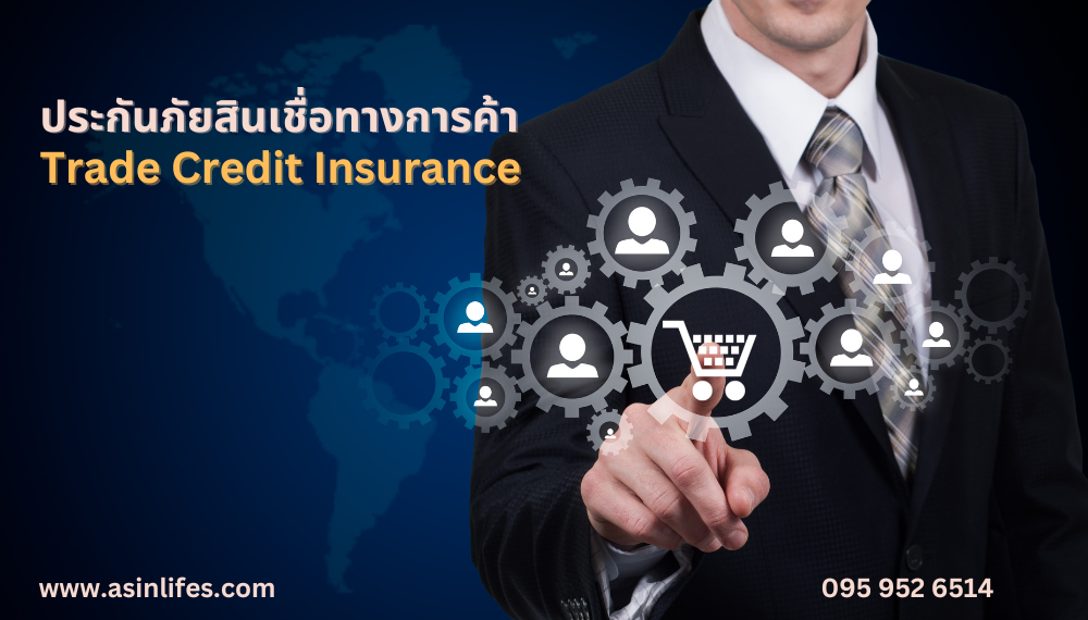 ประกันภัยสินเชื่อทางการค้า Trade Credit Insurance - asinlifes