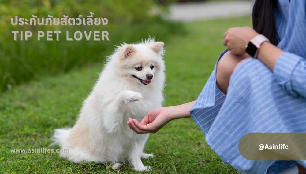 ประกันภัยสัตว์เลี้ยง TIP PET LOVER