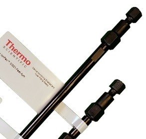 Dionex™ IonPac™ CS16, 5 μm, 250x3mmID IC Column