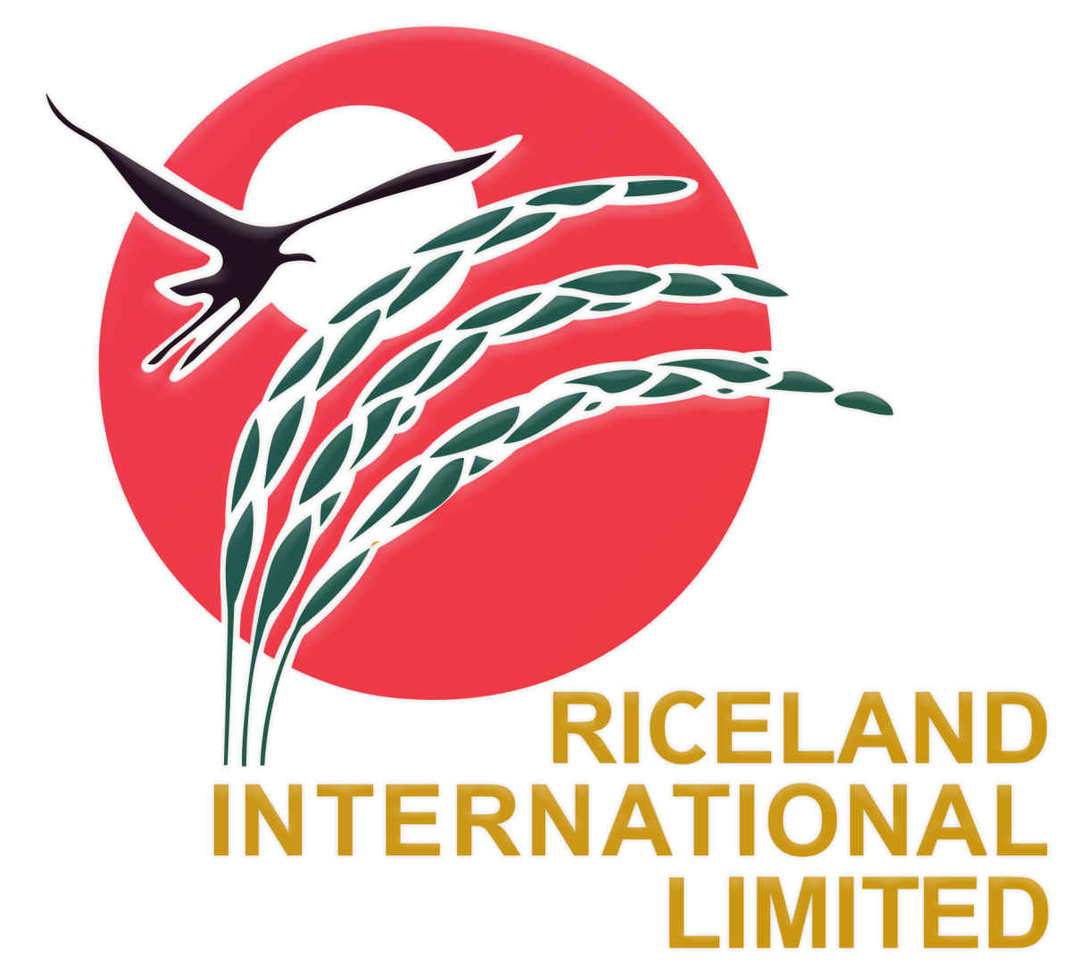 https://www.ricelandgroup.com/