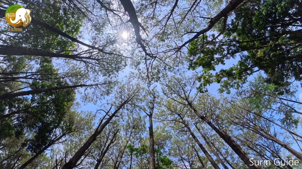 Nong Khu Forest Park