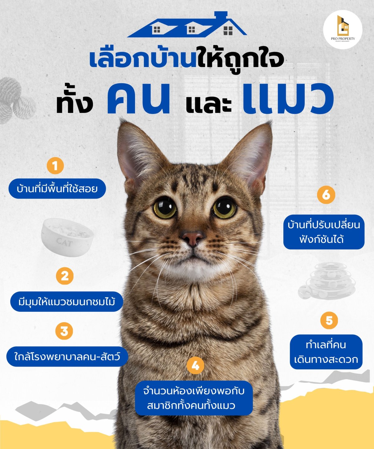 Choose a home that is pleasing to both you and your cat.