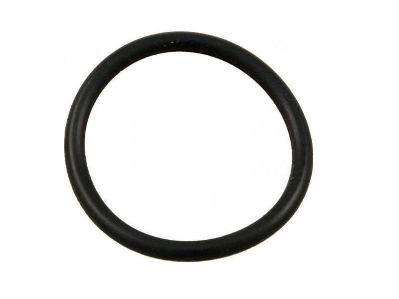 O-Ring for Star-Clear C250 & C500 - winwinpoolshop