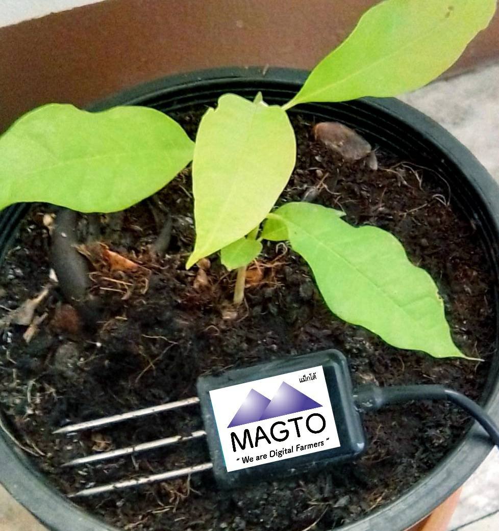 MAGTO TH-S - magtothailand