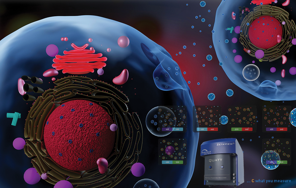 Zetaview® X30 Next Generation Nanoparticle Tracking Analyzer Particle