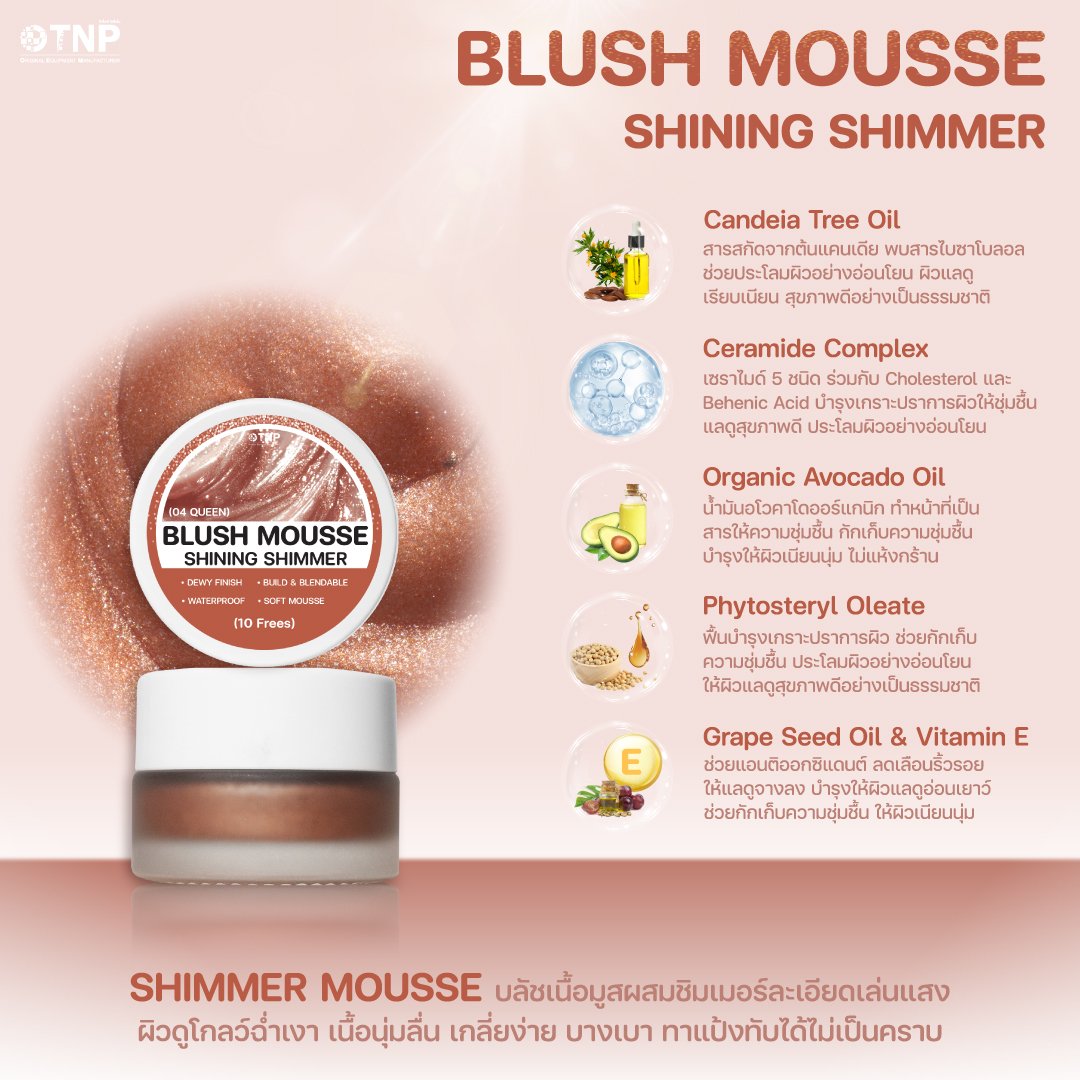 BLUSH MOUSSE SHINING SHIMMER