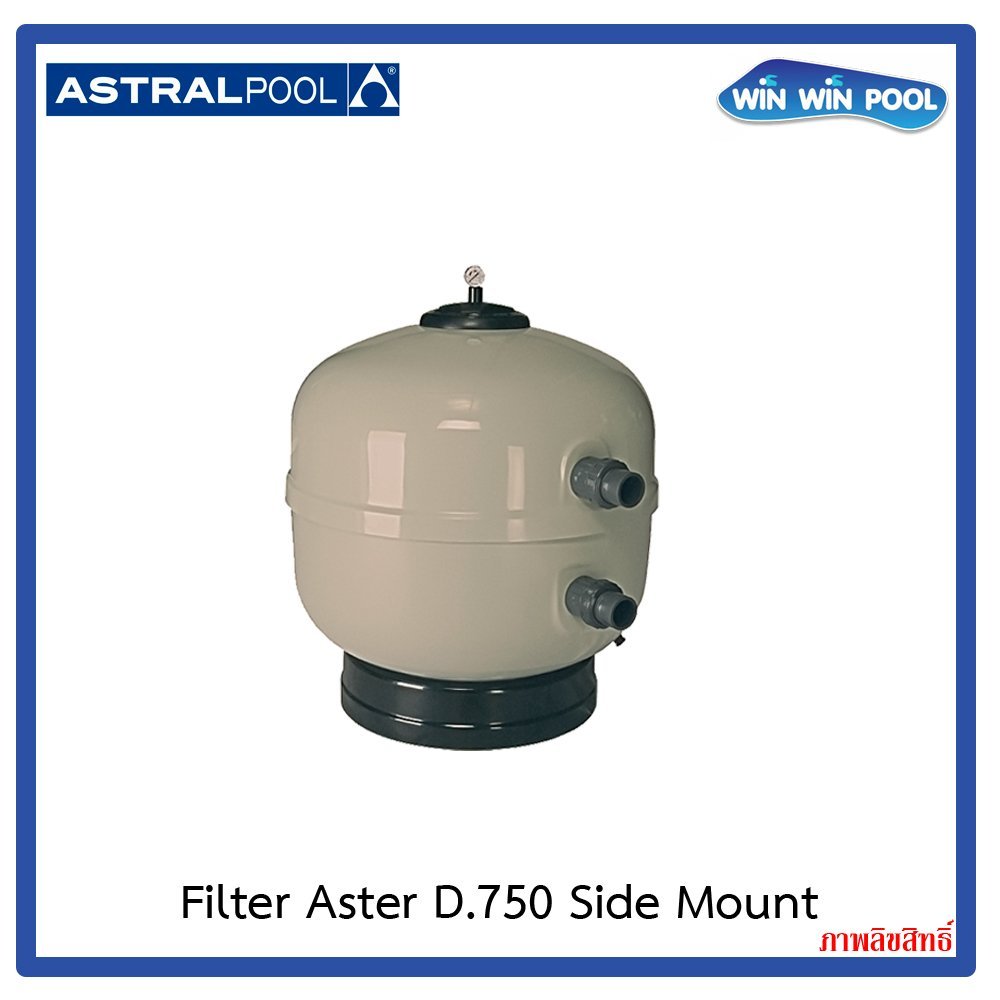 Aster Filter Side/M D.750 (30") : 2" Conns with Multiport Valve 07444