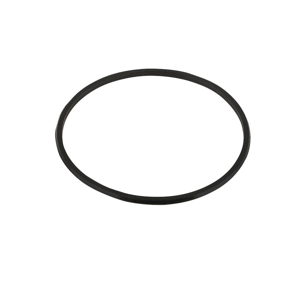 O-Ring for 1.5" Union Parts of EMAUX SC Pump