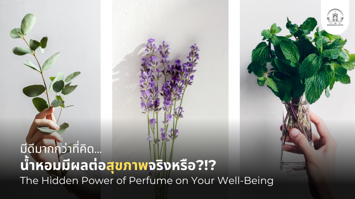 The Hidden Power of Perfume on Your Well-Being