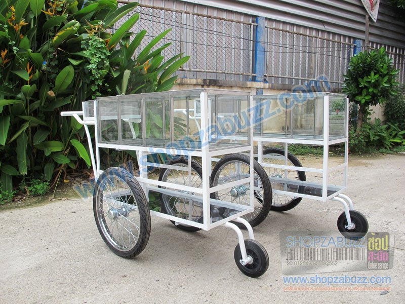รถเข็นขายผลไม้ CTF - 6