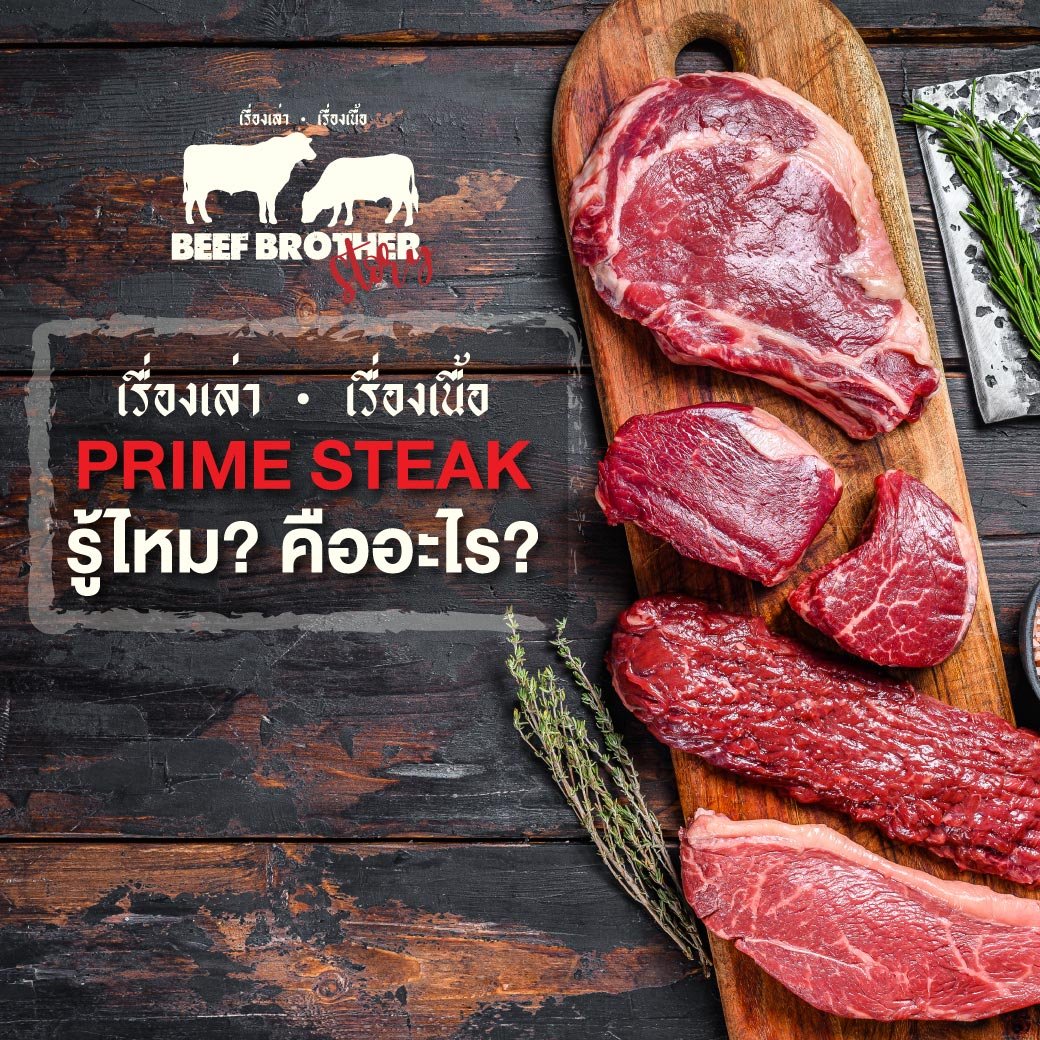 Beef Brother | Prime Steak สุดยอดส่วนเนื้อทำสเต็ก | บทความ