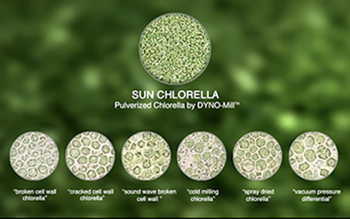 C.G.F. (Chlorella Growth Factor)