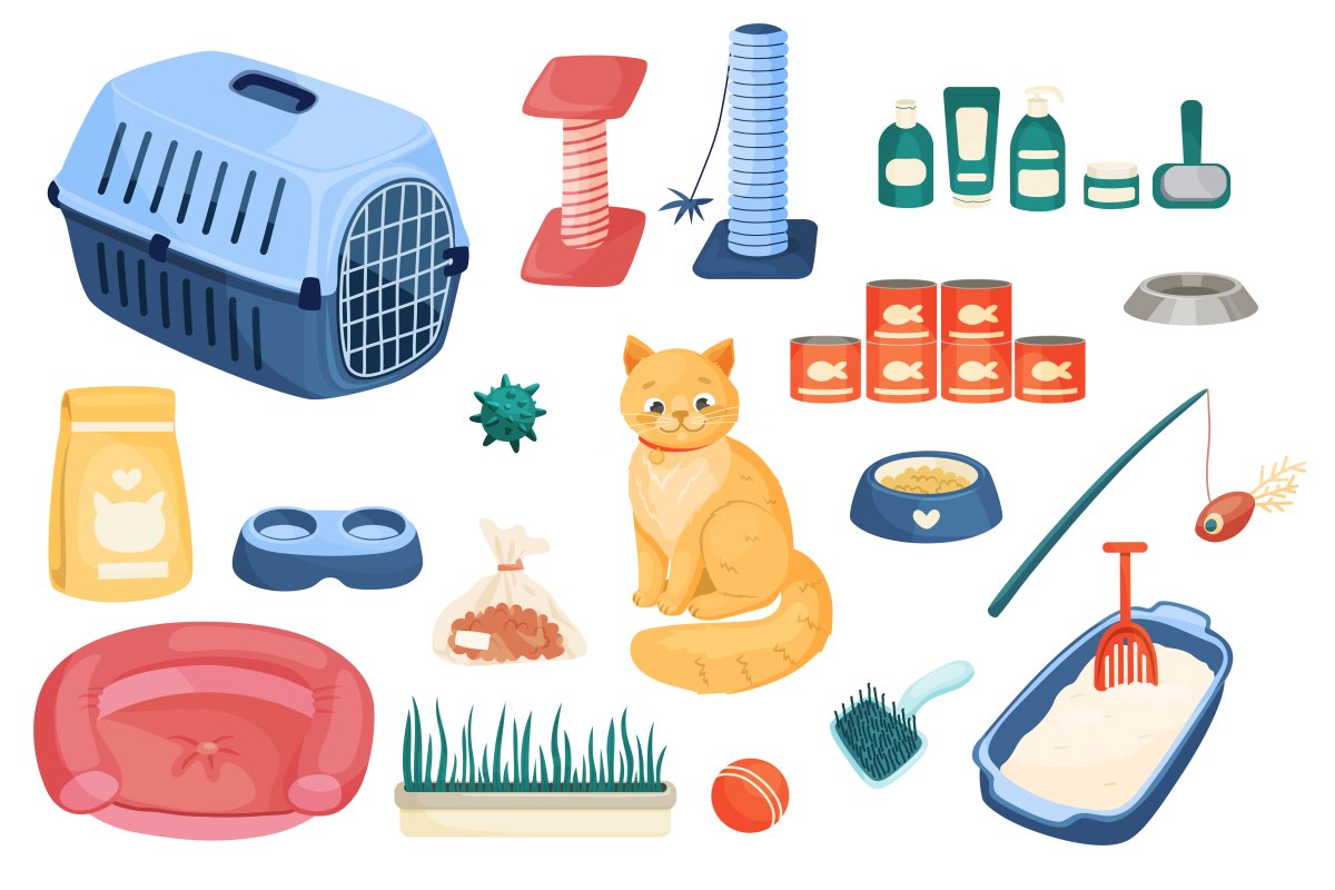 Essential Cat Care Items Every Cat Owner Should Have at Home