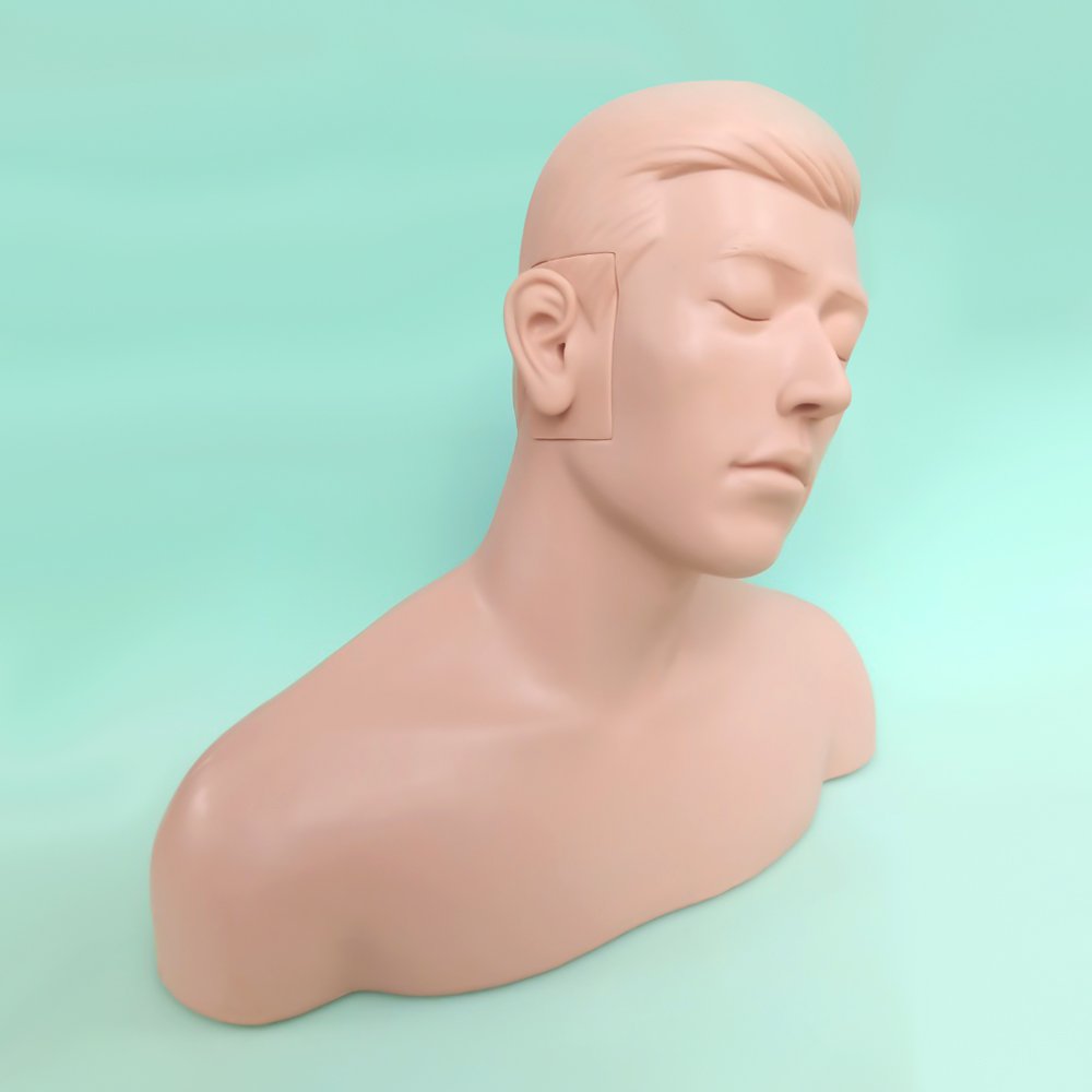 E005 หุ่นฝึกการกำจัดสิ่งแปลกปลอมในช่องหู / Ear Foreign Body Removal Model