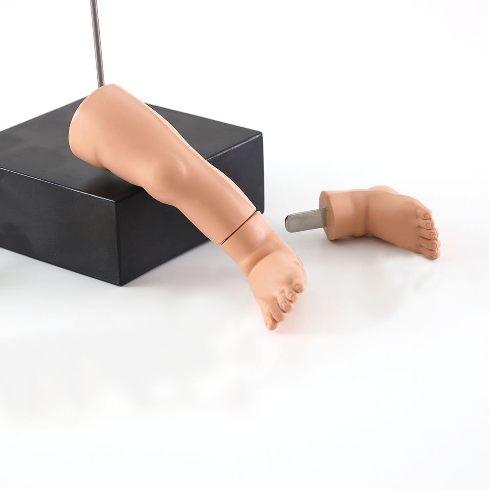 P005 หุ่นฝึกเจาะส้นเท้าทารก/Infant Heel Simulator -บ.บริลเลี่ยน รับเบอร์