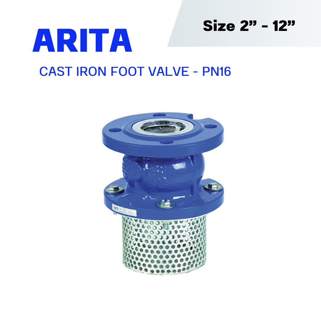 ARITA Cast Iron Foot Valve (IFT-F3) - PN16