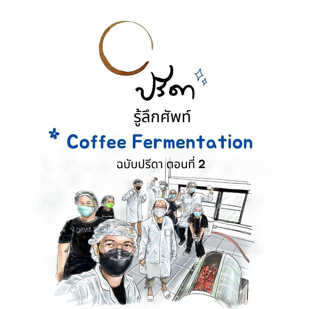 รู้ลึกศัพท์ Coffee Fermentation สมัยใหม่ (ฉบับปรีดา) ตอน 2