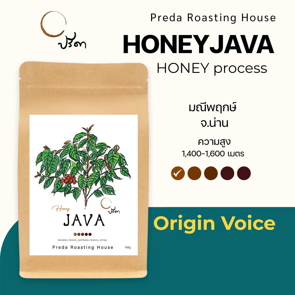 JAVA (Honey process)