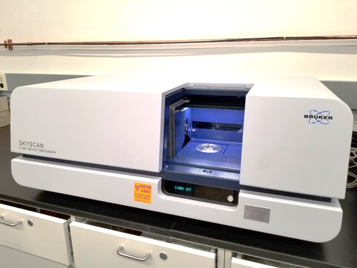 Micro Computed Tomography (Micro CT)