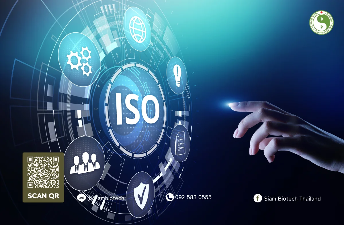 What are the advantages of ISO standards?