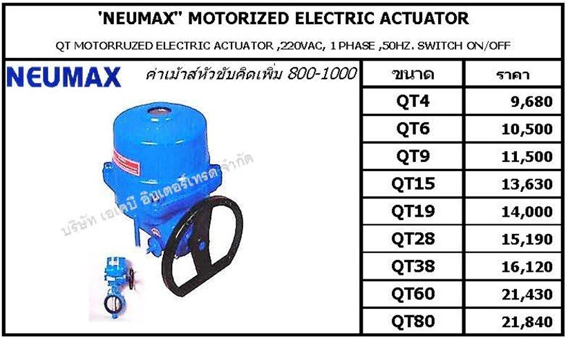 NEUMAX" MOTORIZED ELECTRIC ACTUATOR