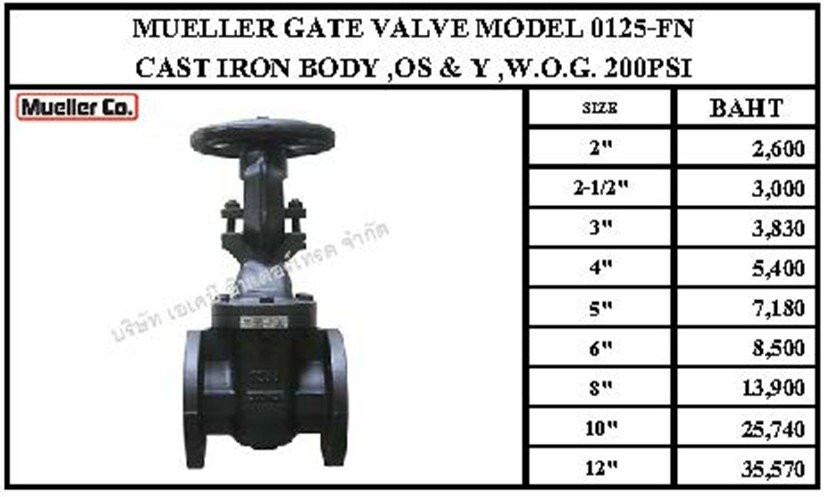 MUELLER GATE VALVE MODEL 0125-FN **มีสินค้า